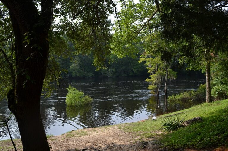Explore 47 South Carolina State Parks: Nature's Best Escapes