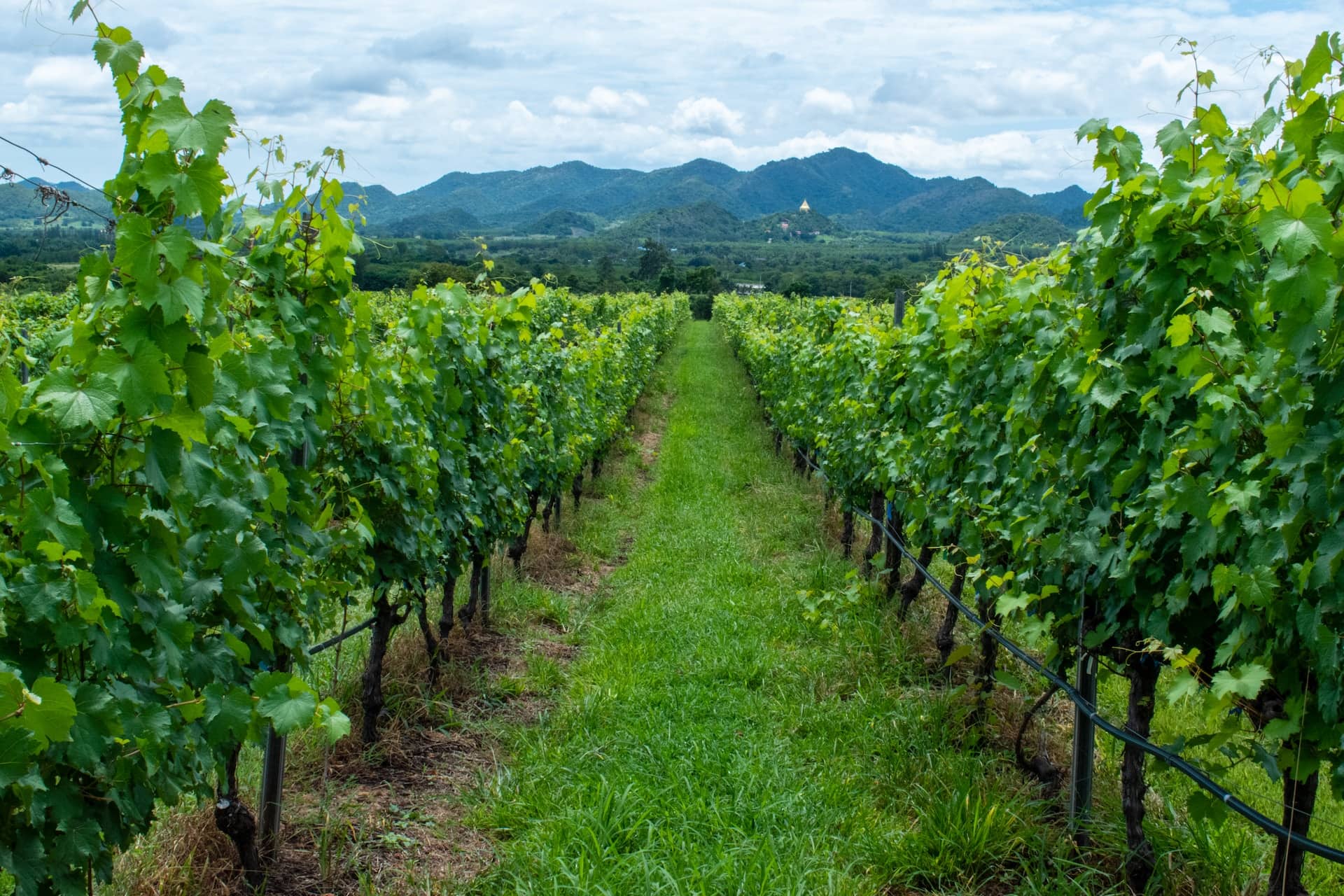 15 Places to Visit in South Carolina Mountains